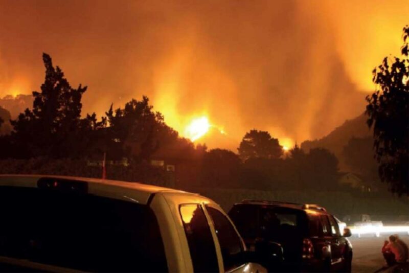 ForExt Forrest Fire Extinguishing Agent - Anogas